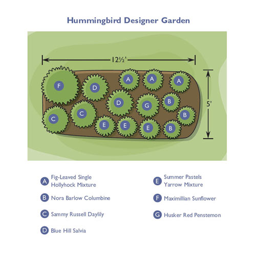 Hummingbird Garden Layout | Fasci Garden