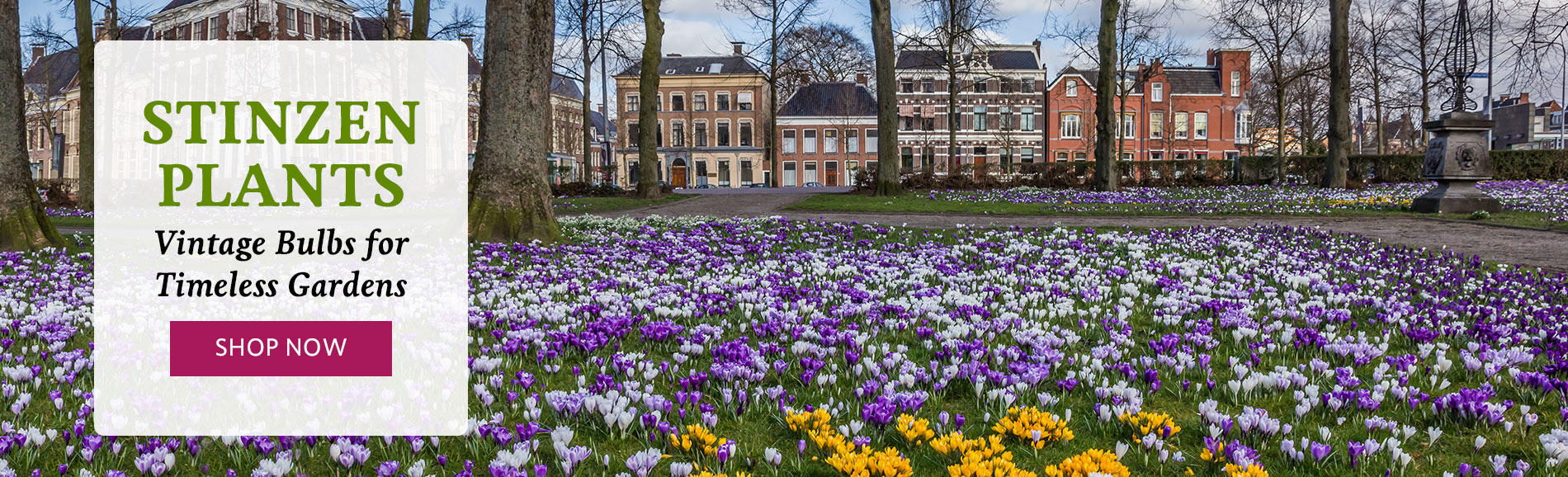 Breck's - Direct to you from Holland since 1818