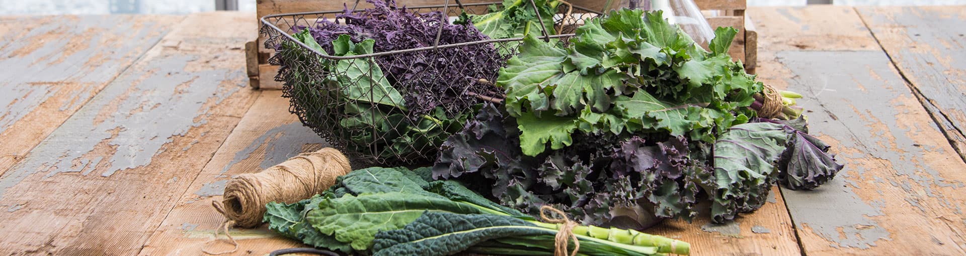 Gurney's - America's Most Complete Seed and Nursery