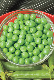 Gurney's - America's Most Complete Seed and Nursery