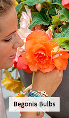 Spring Hill Nurseries | Find your Inspiration- Online Nursery